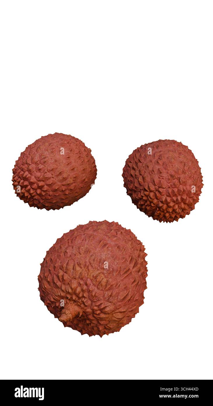 Nature themed composition Cut Out Stock Images & Pictures - Alamy