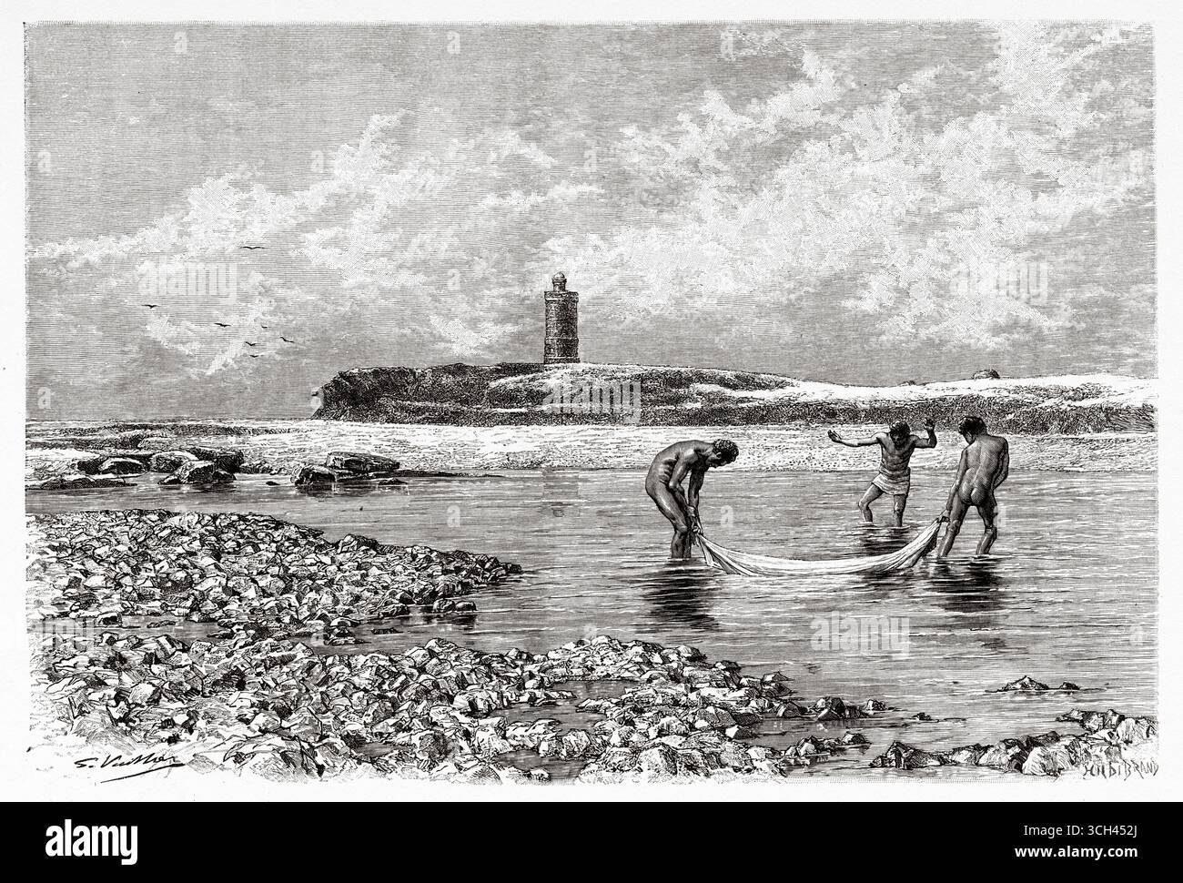 Horn books Cut Out Stock Images & Pictures - Alamy