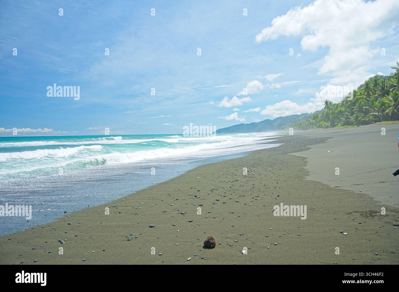 Playa Carate beach at the Osa peninsula in Costa Rica Stock Photo - Alamy