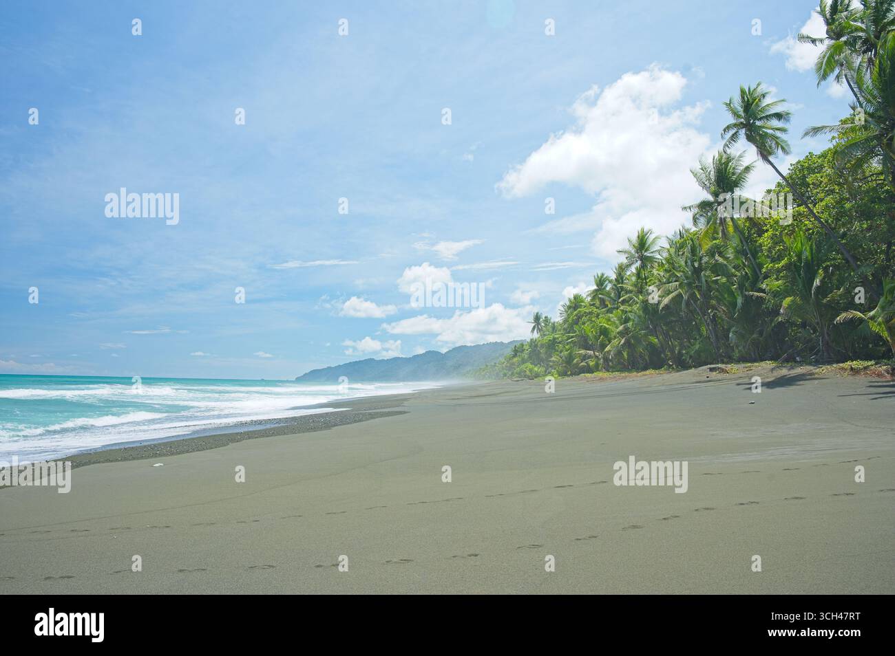 Playa Carate beach at the Osa peninsula in Costa Rica Stock Photo - Alamy