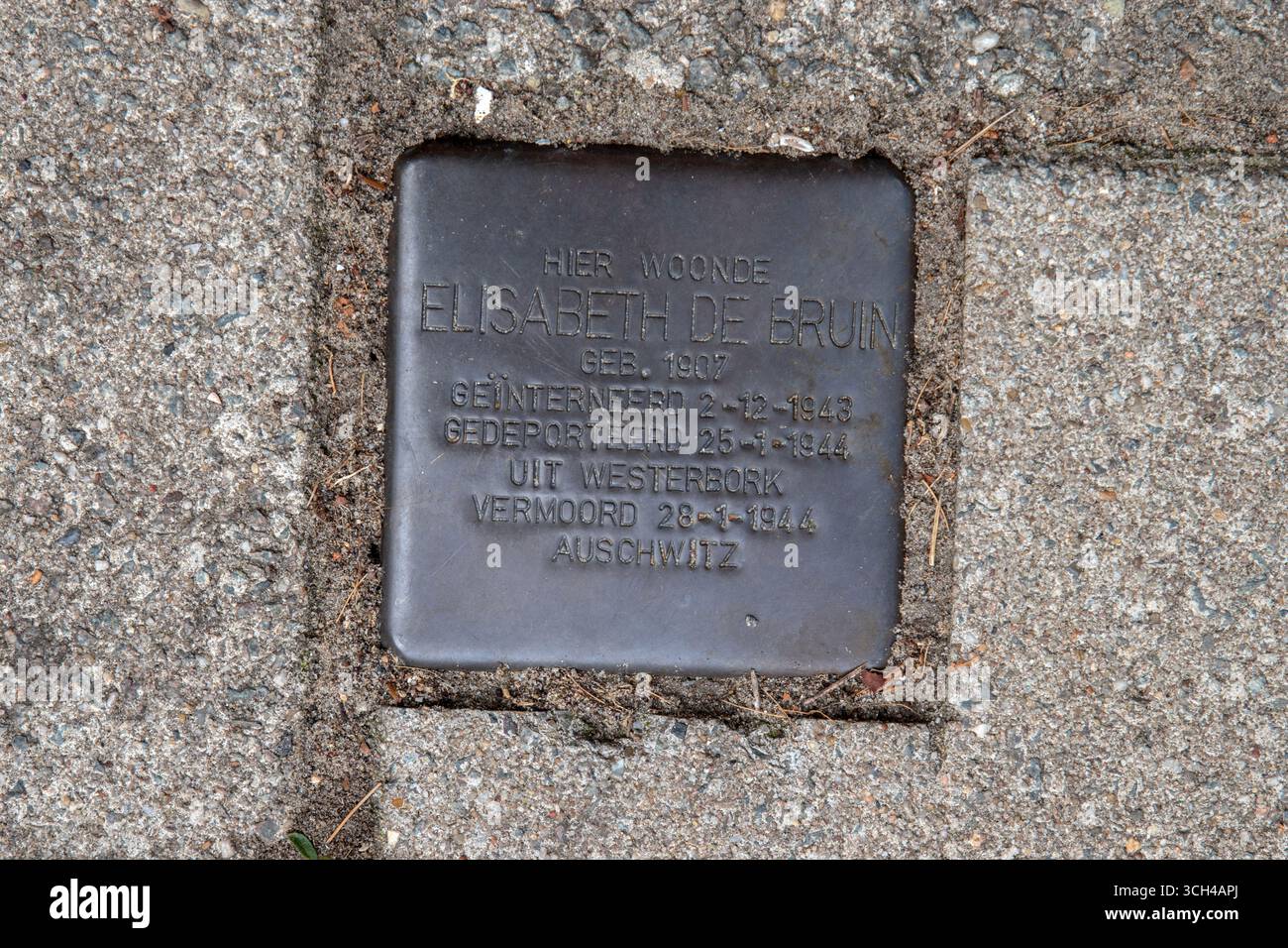 Stolperstein Memorial Stone From Elisabeth De Bruin At Amsterdam The ...