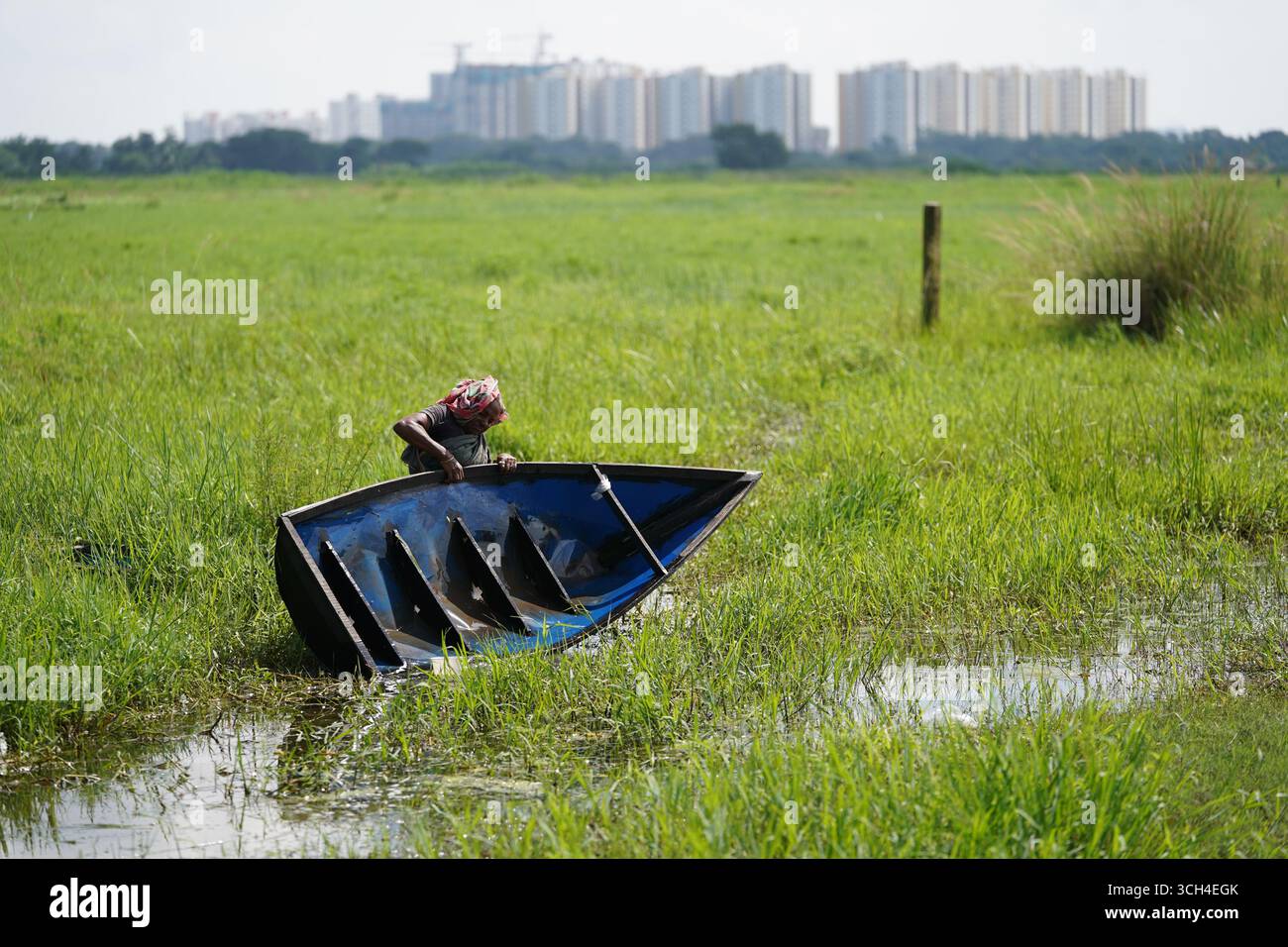 Basipota hi-res stock photography and images - Alamy