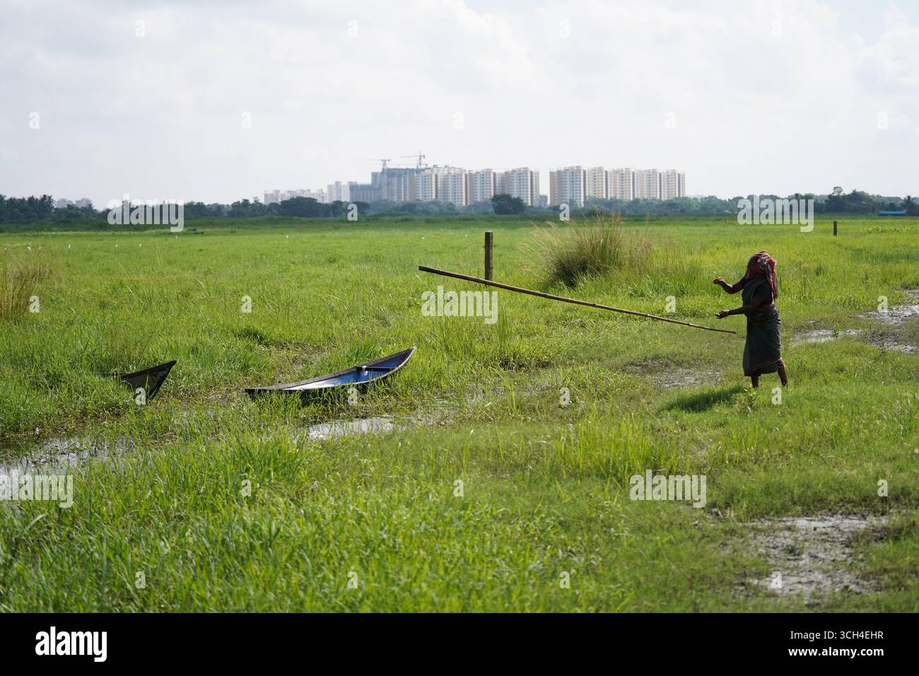 Peri urban agriculture hi-res stock photography and images - Alamy