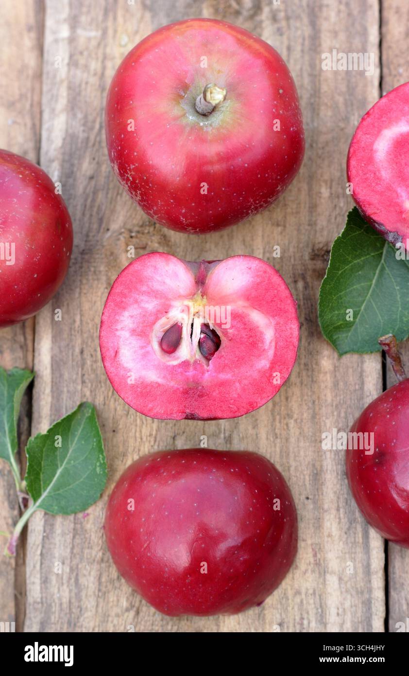 Redlove Era apples. Malus domestica Redlove 'Era', a Swiss bred early ...