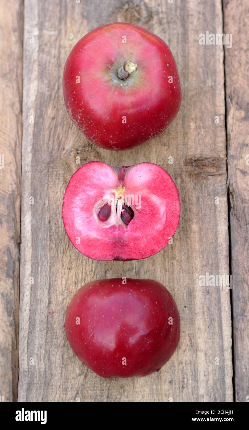 Redlove Era apples. Malus domestica Redlove 'Era', a Swiss bred early ...