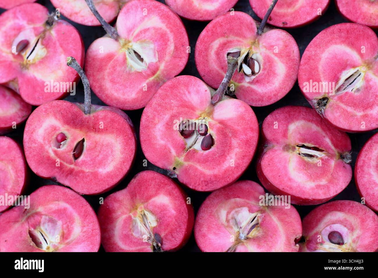 Redlove Era apples. Malus domestica Redlove 'Era', a Swiss bred early ...