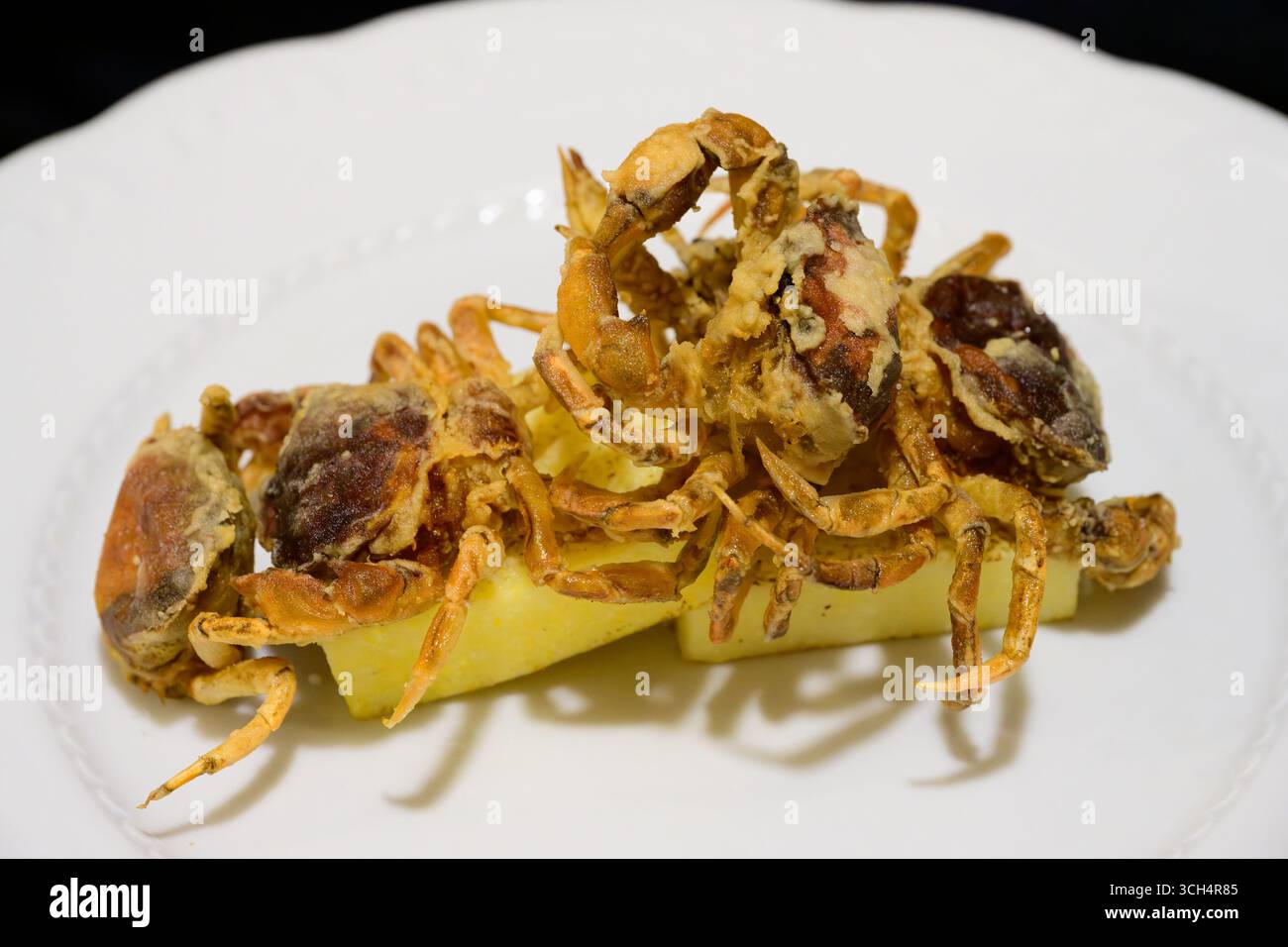 Moeche hi-res stock photography and images - Alamy