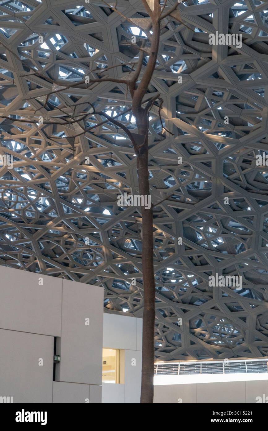 UAE - Abu Dhabi - Louvre Abu Dhabi - Slender courtyard tree rising ...