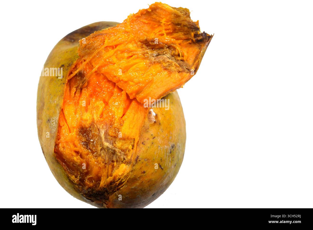Mango fruit with mold and bacteria, mould is one of the structures that ...