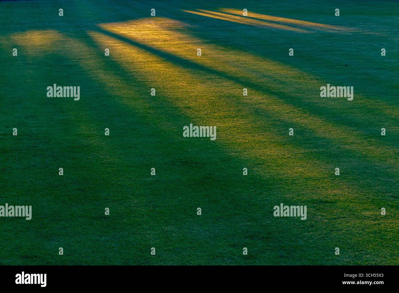 Immaculate grounds hi-res stock photography and images - Alamy