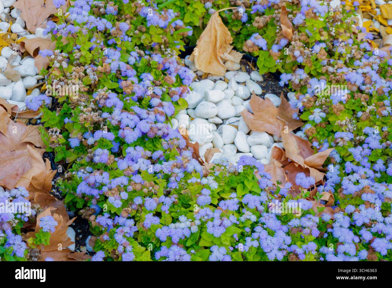 Tranquil display smooth white hi-res stock photography and images - Alamy