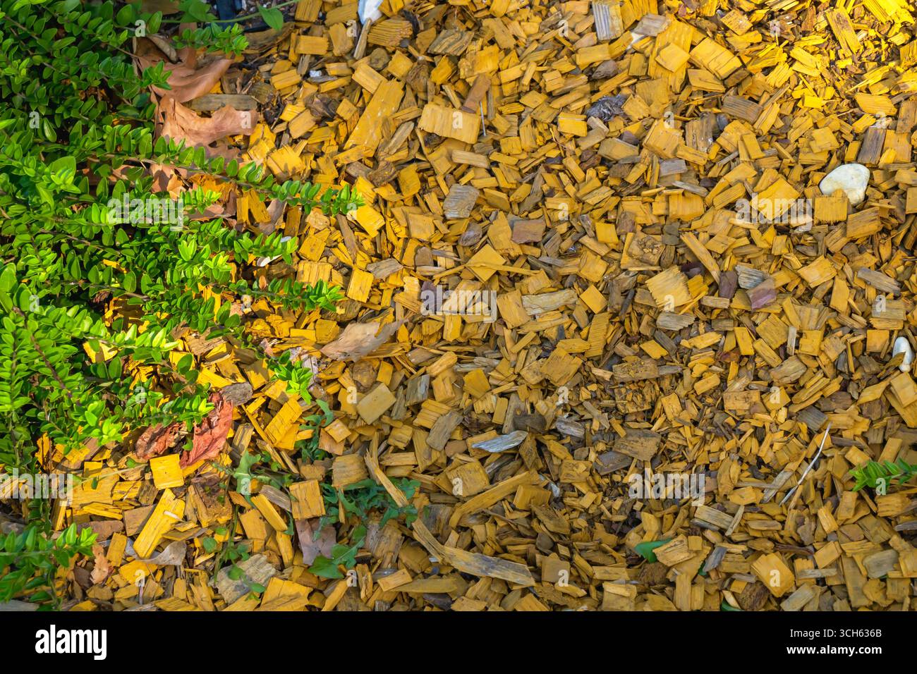 Creating mulch hi-res stock photography and images - Alamy