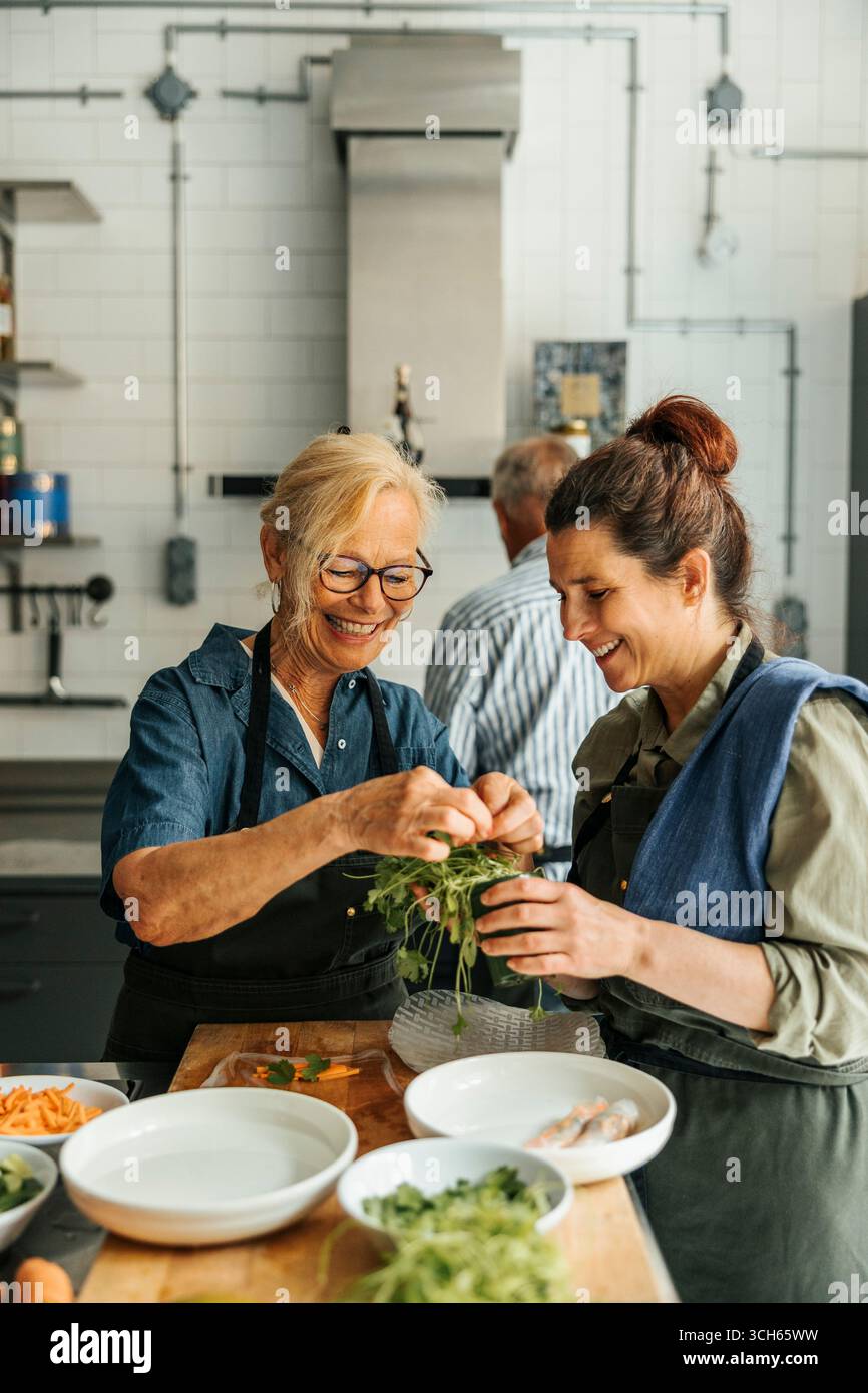Smiling senior woman picking basil from plant held by female chef in ...