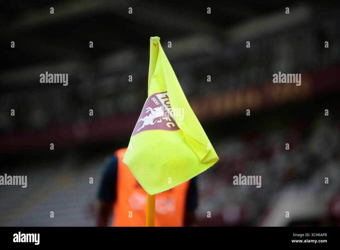Turin, Italy. 31st Aug, 2025. Torino FC logo on the corner flag during ...