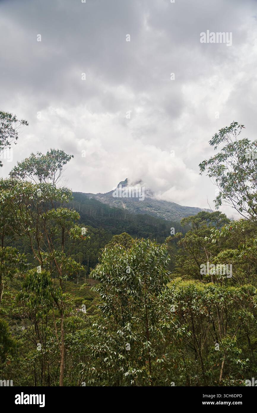 View of the sacred mountain Adam peak. Mount Sri Pada in Sri Lanka is a ...