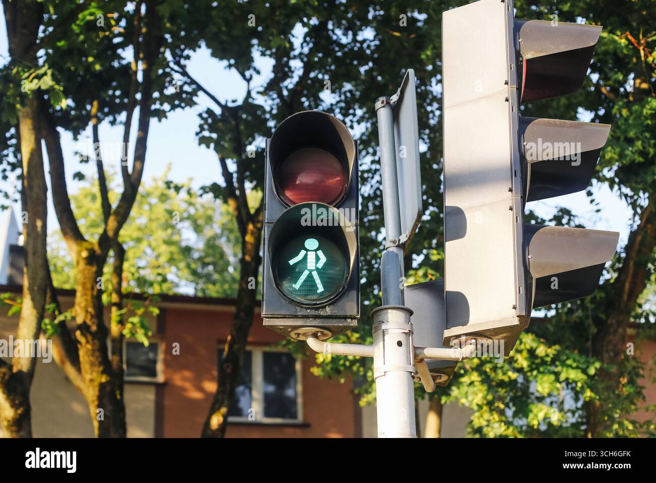 Green pedestrian traffic light on city street. Urban crossing signal ...
