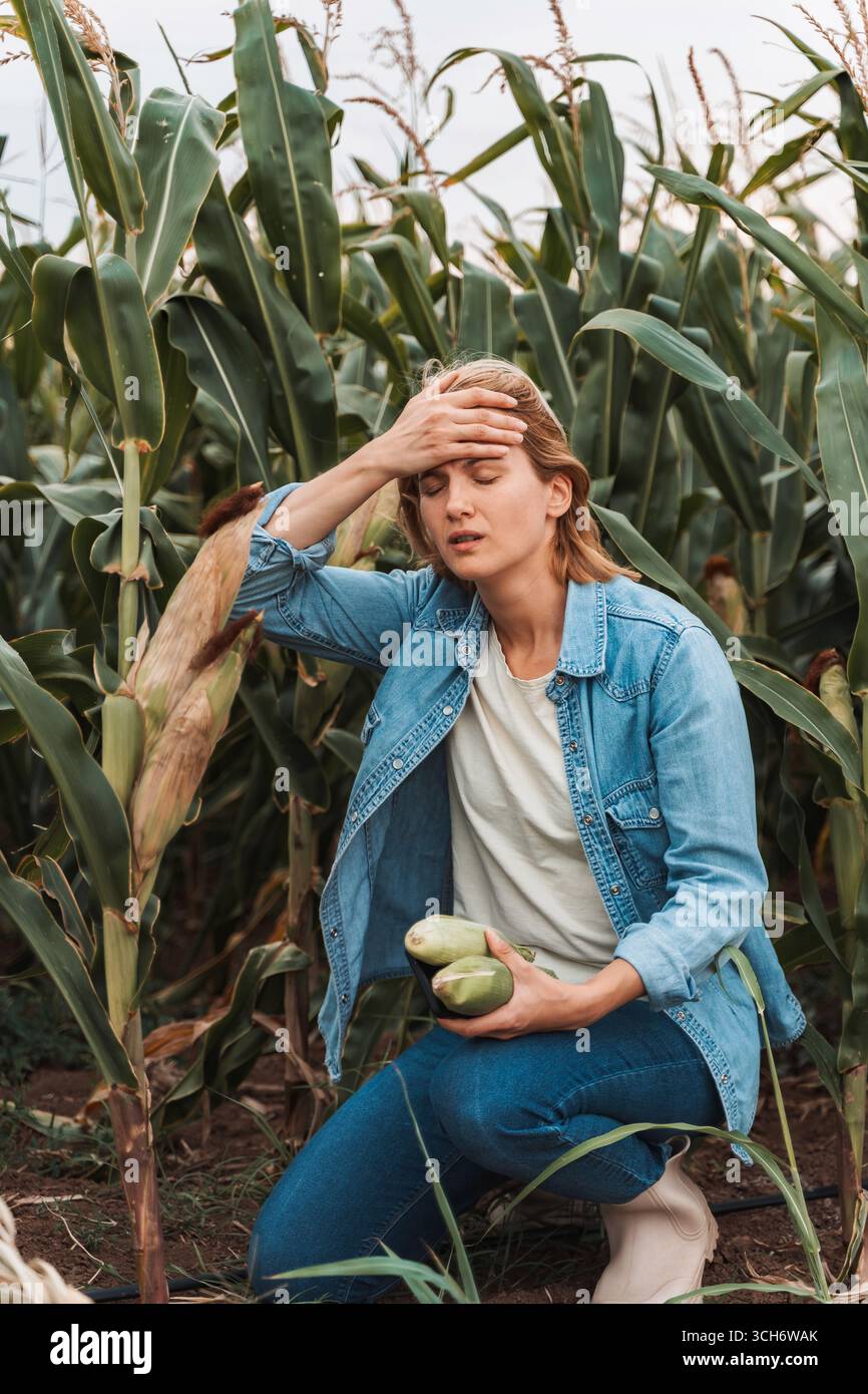 Female farmer suffering from heat stroke in corn field Stock Photo - Alamy