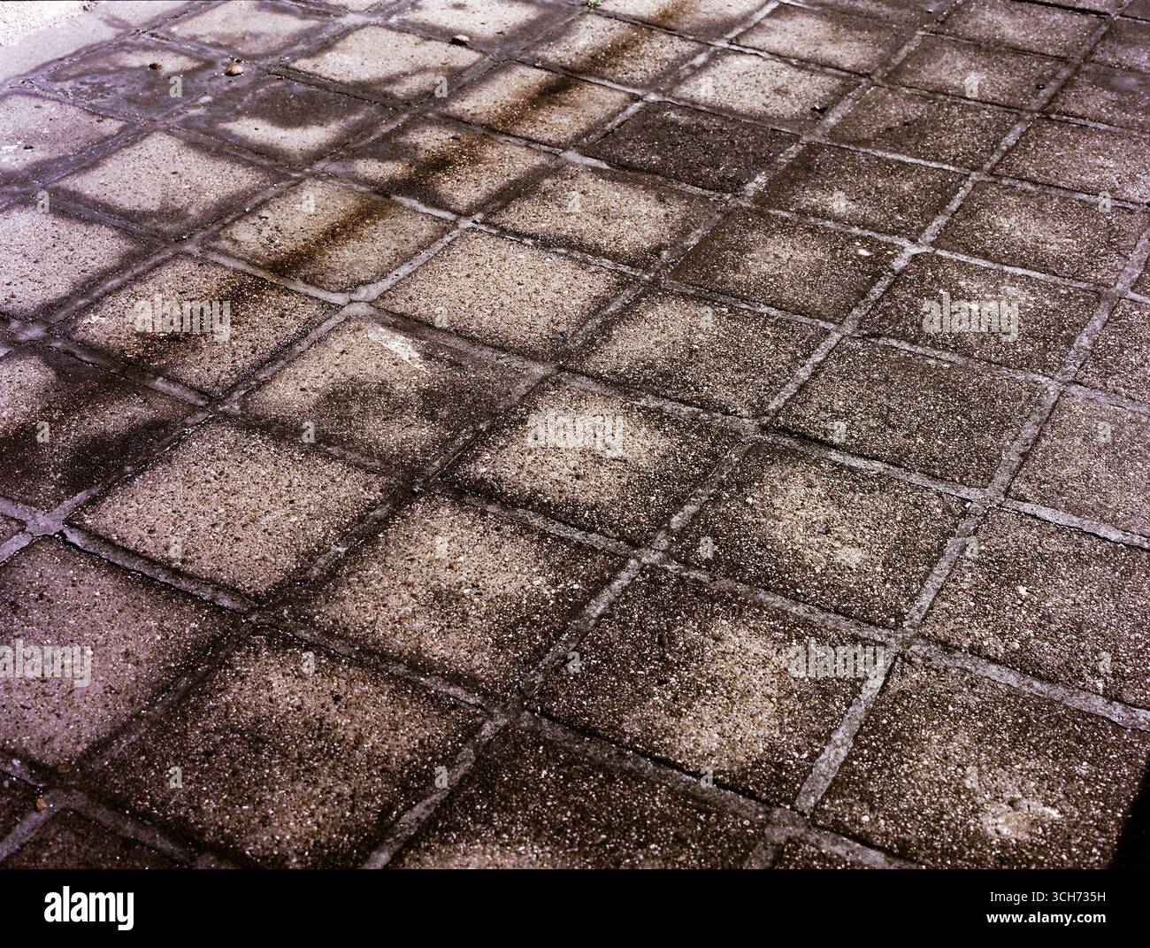 Photograph of a rooftop surface covered with concrete tiles or blocks ...