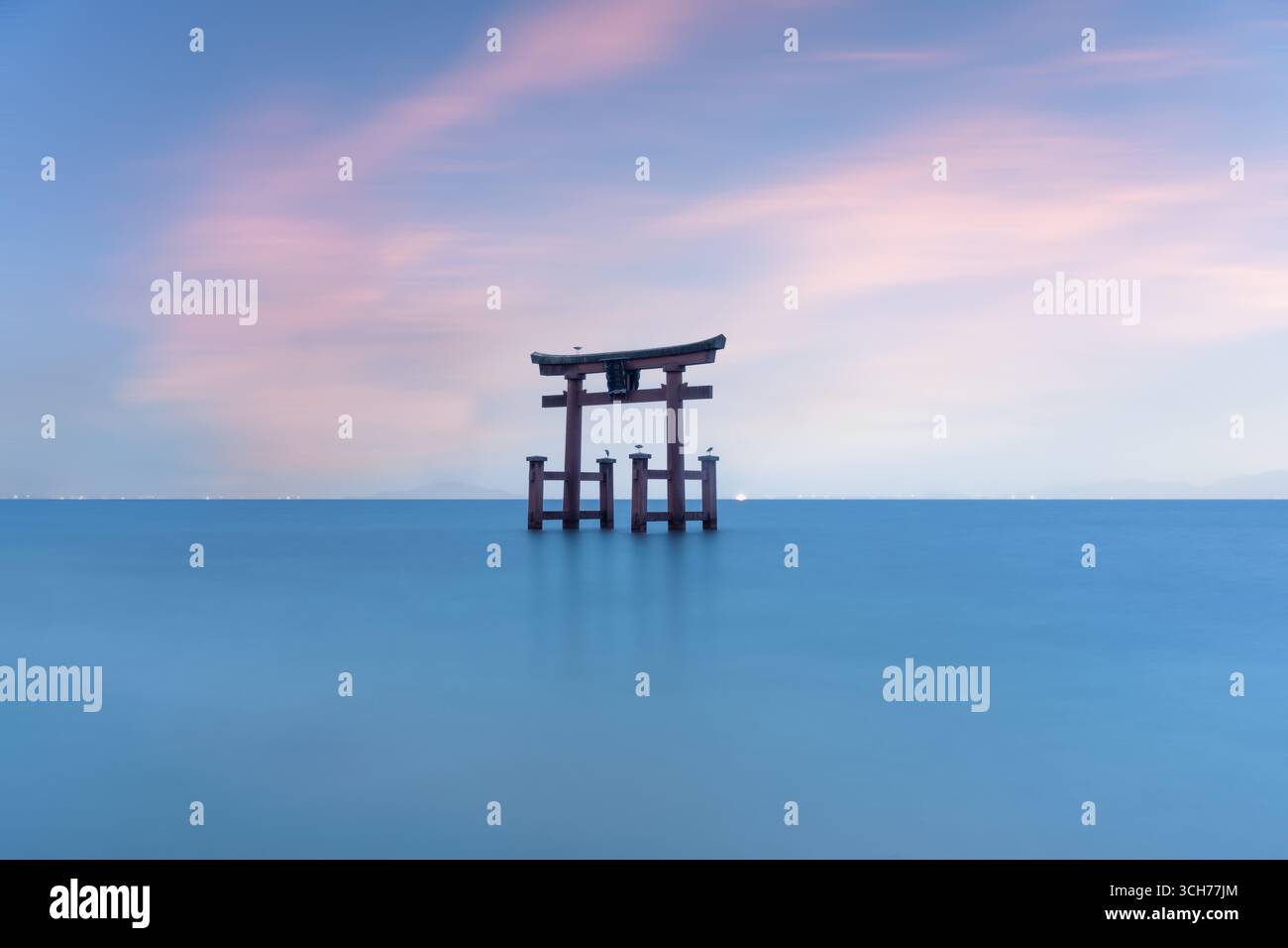 Traditional torii gate stands hi-res stock photography and images - Alamy