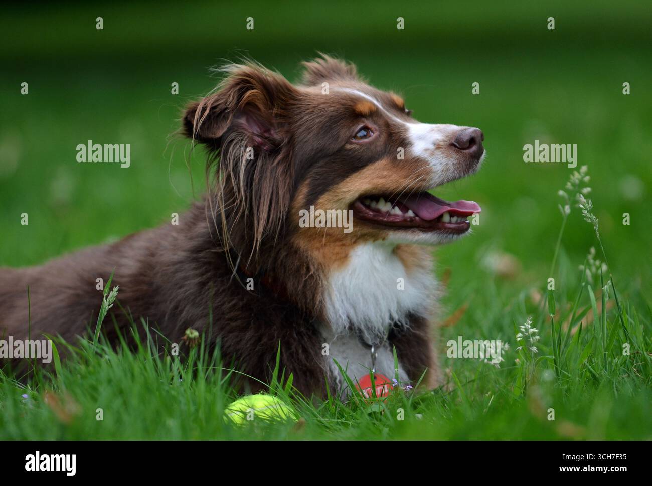 Photo captures side view hi-res stock photography and images - Alamy