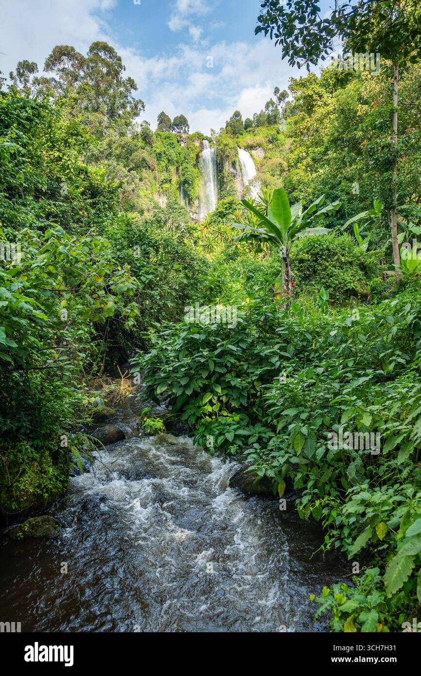 Sipi falls in the tropical jungle. Mount Elgon National Park, Uganda ...