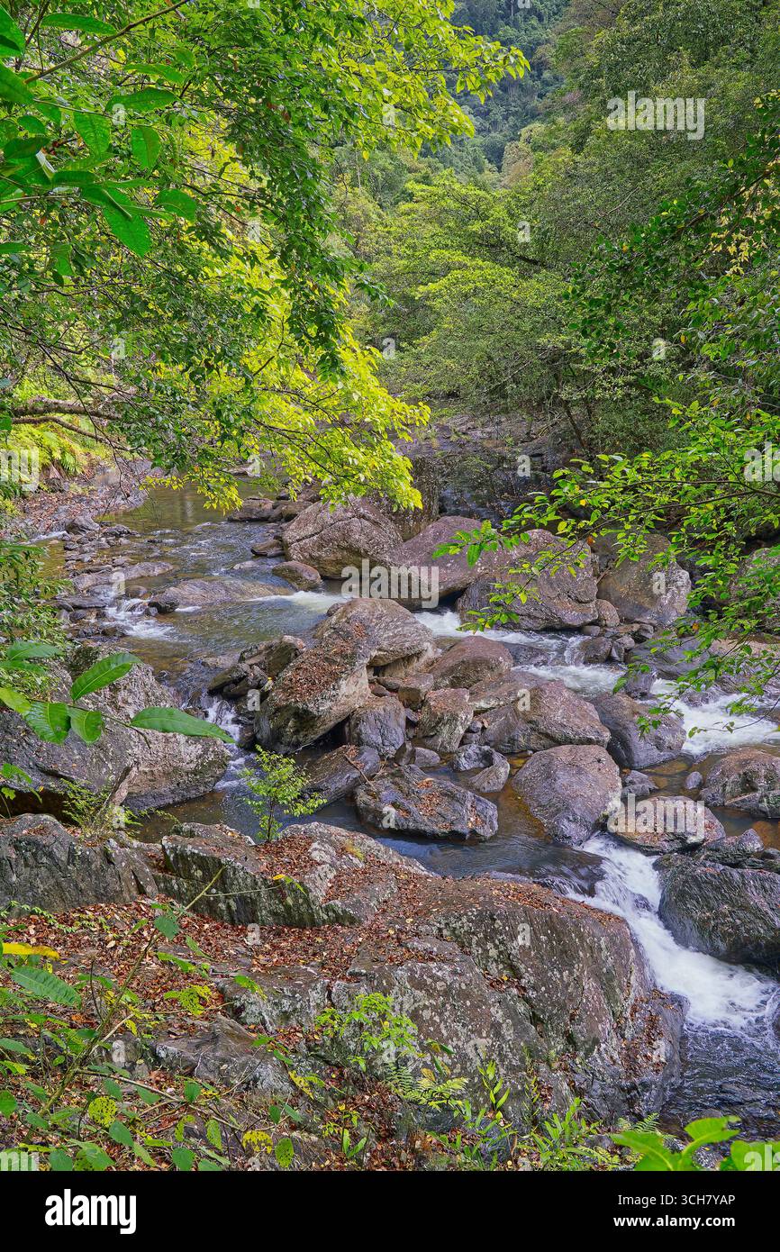 Long exposure portrait image of Freshwater creek rocky rapids and ...
