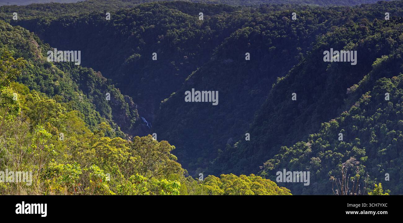 View of lower cascade on Barron falls in deep gorge with dense tropical ...