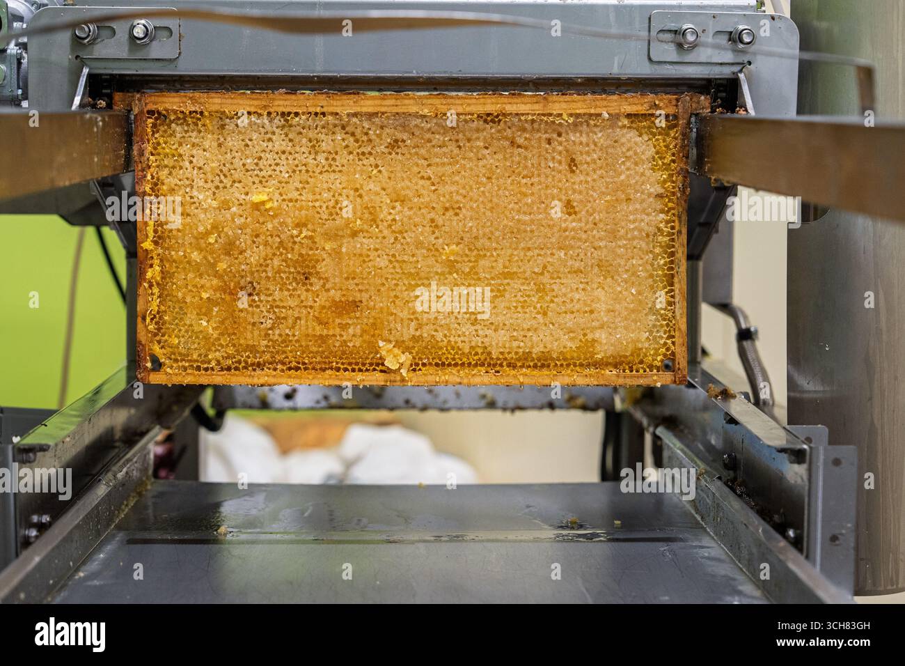 Honeycomb frame ready extraction hi-res stock photography and images ...