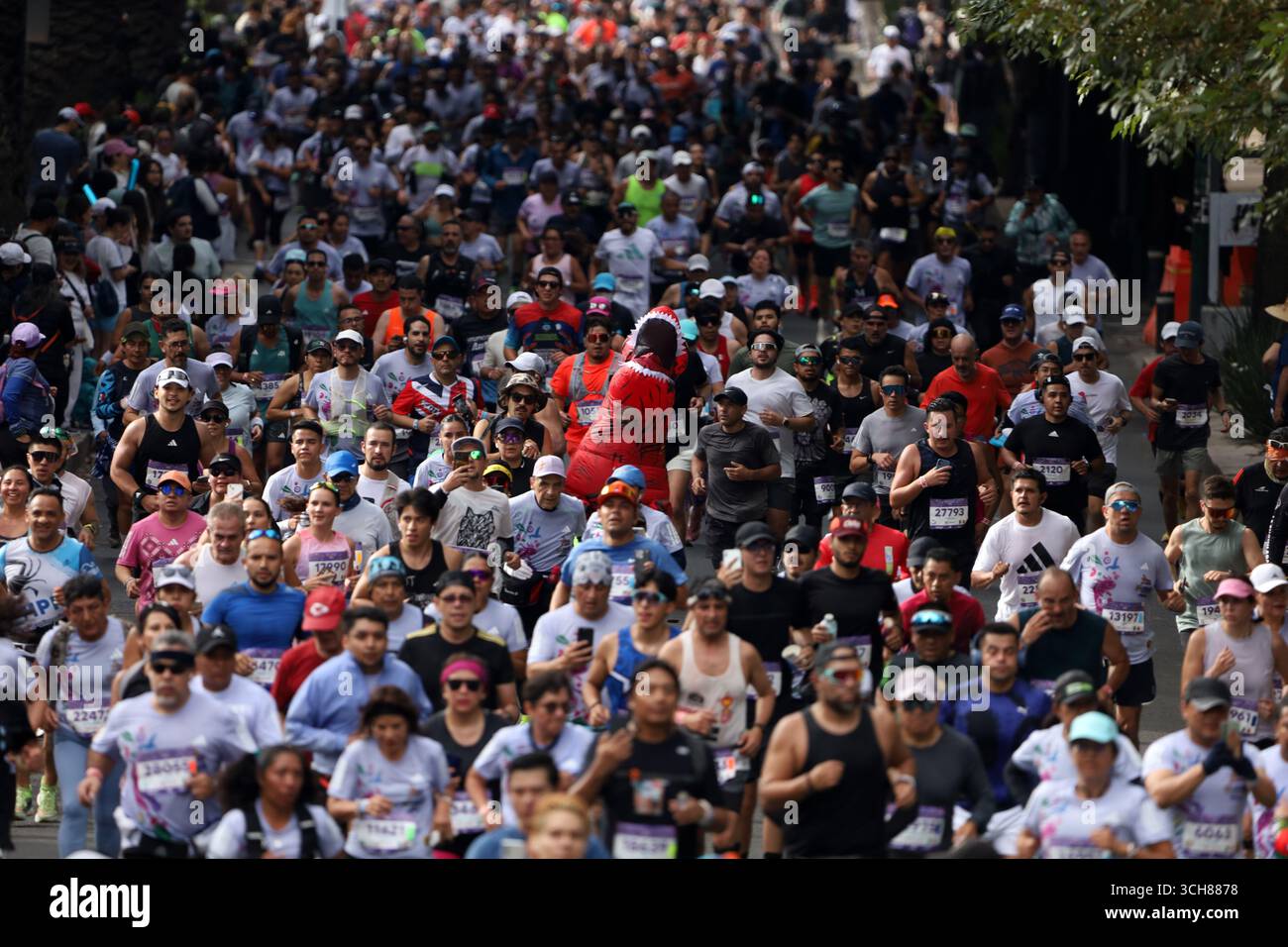 Runners taking part during the XLII Mexico City International Marathon ...