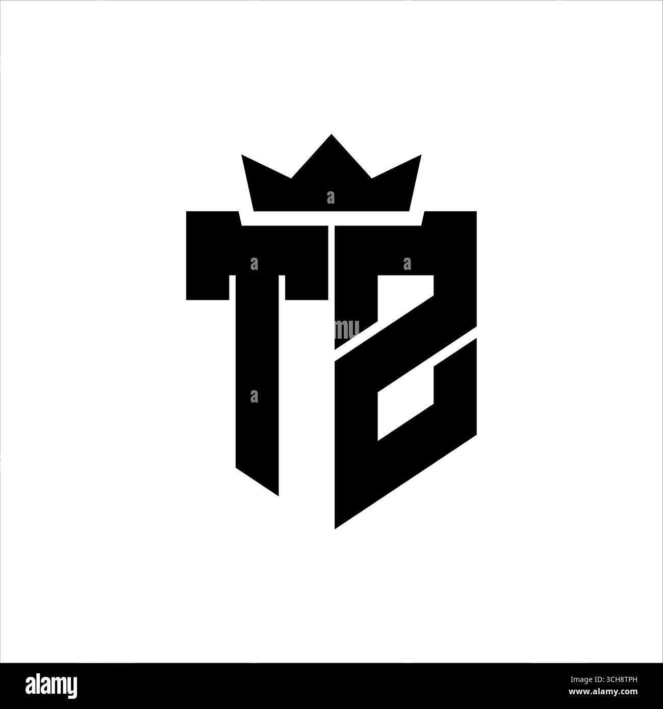 TZ Logo vector image of a shield with a sharp geometric style with a ...