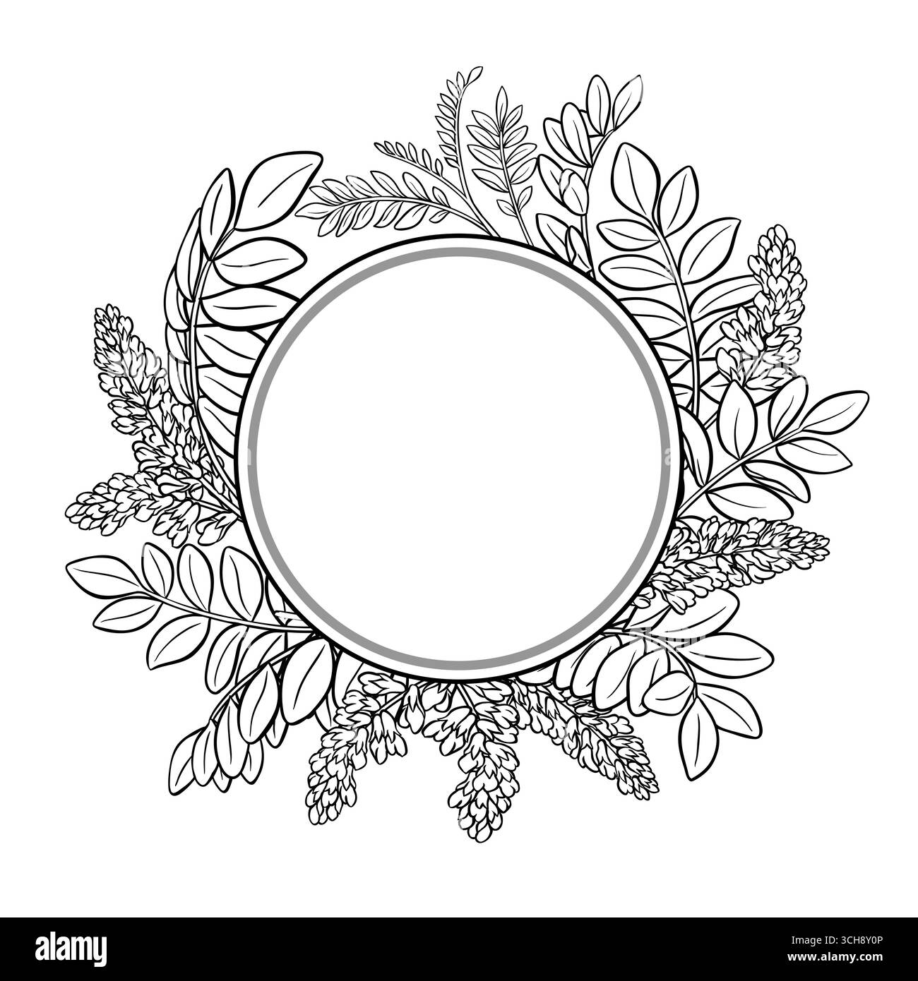 Licorice Branch Outline Round Frame Stock Vector Image & Art - Alamy