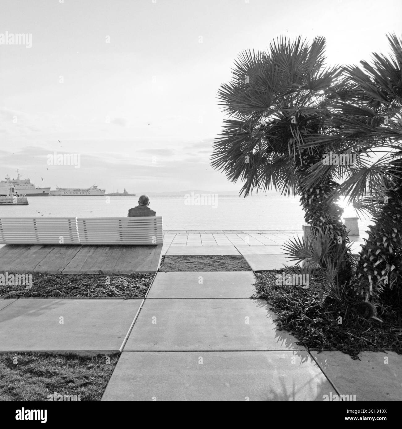 A black and white photograph of the Split Riva promenade on a sunny day ...