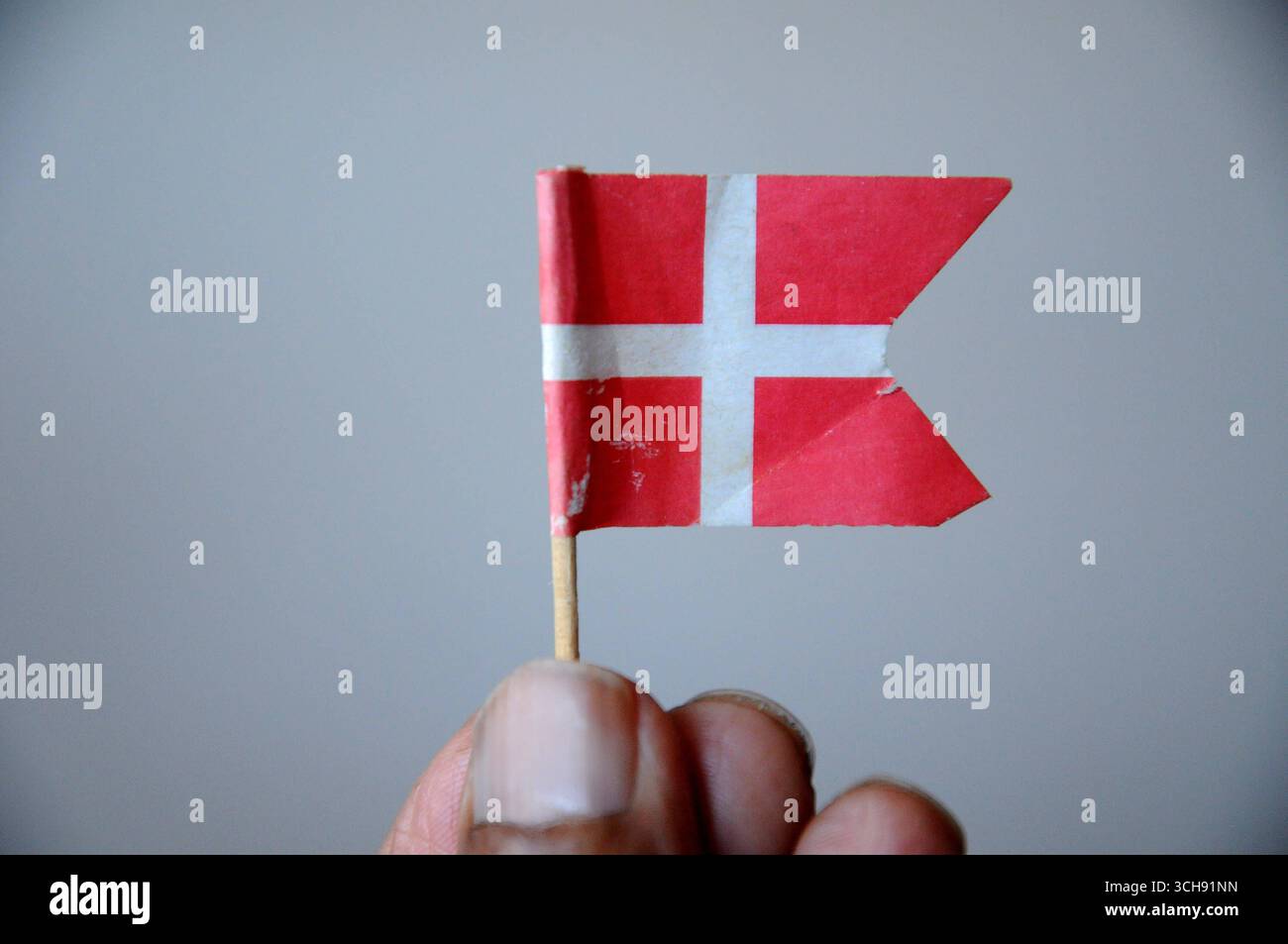 Copenhagen/ Denmark/01 SEPTEMBER 2025/. Danmark dannbrog danish ...