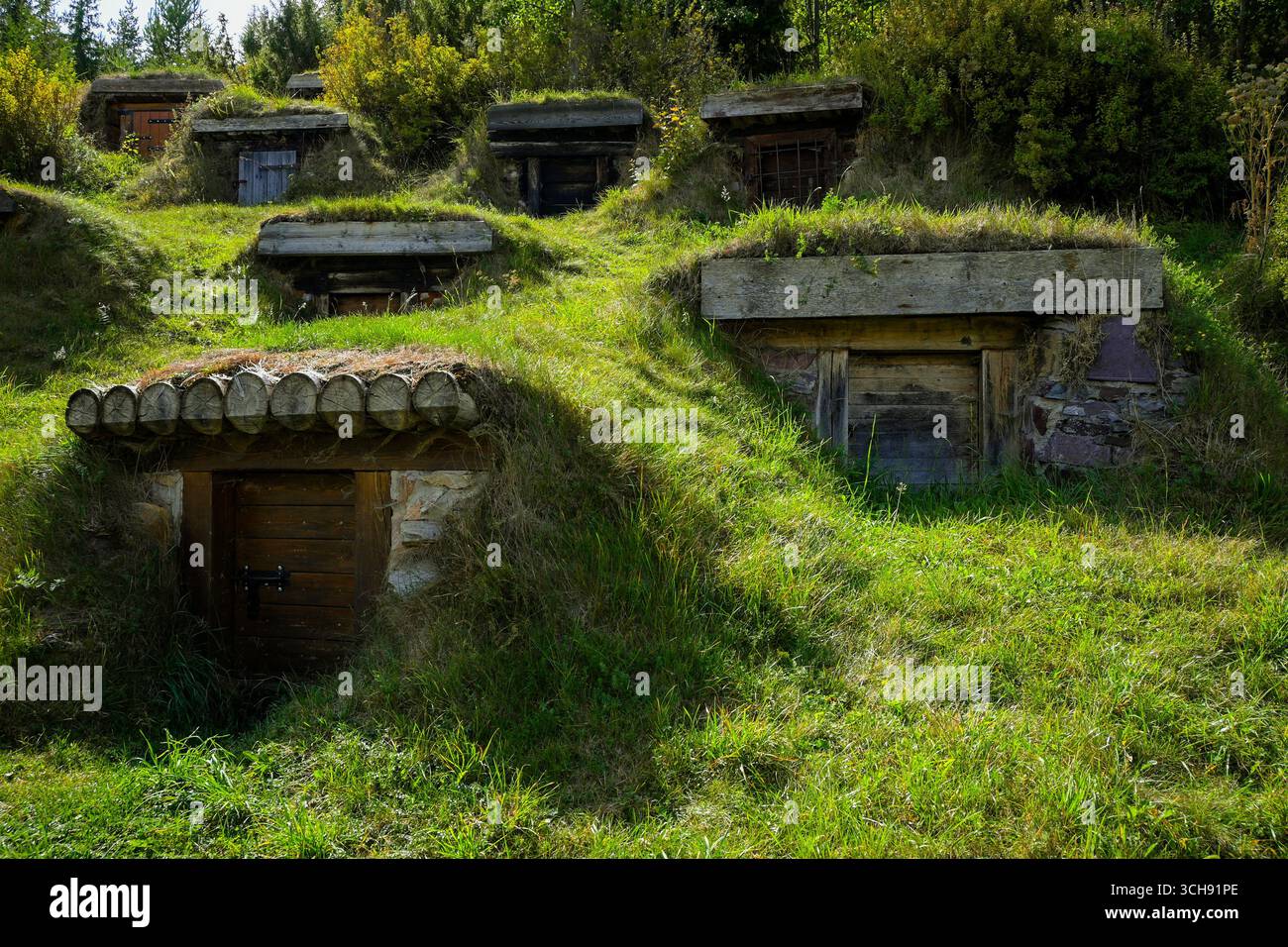 Old, traditional root cellars dot a grassy hillside, showcasing a ...