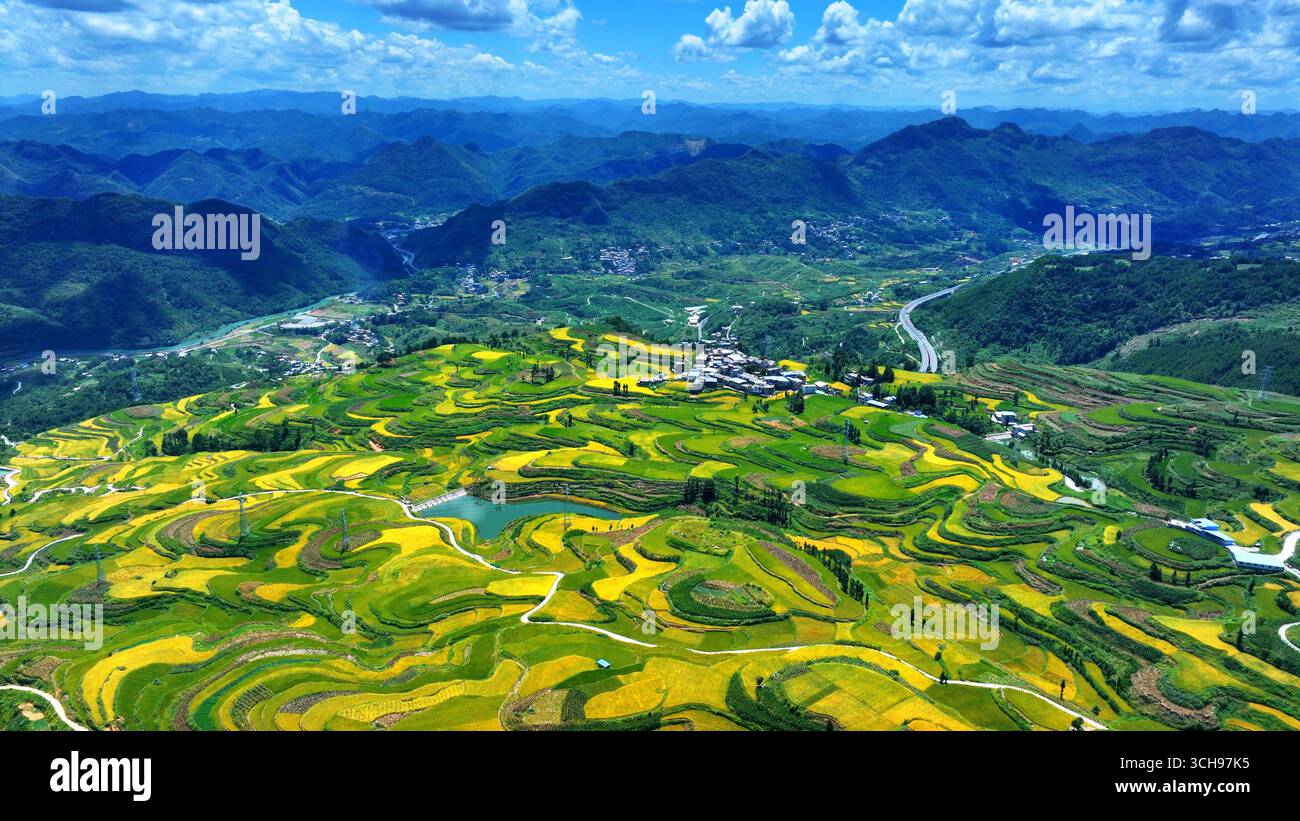 Aerial photo shows the autumn scenery of terraced fields in Qiannan ...