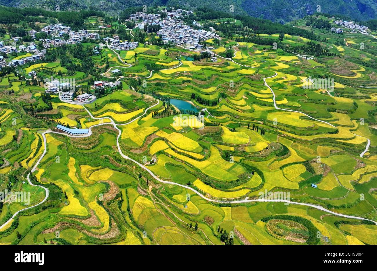 Aerial photo shows the autumn scenery of terraced fields in Qiannan ...