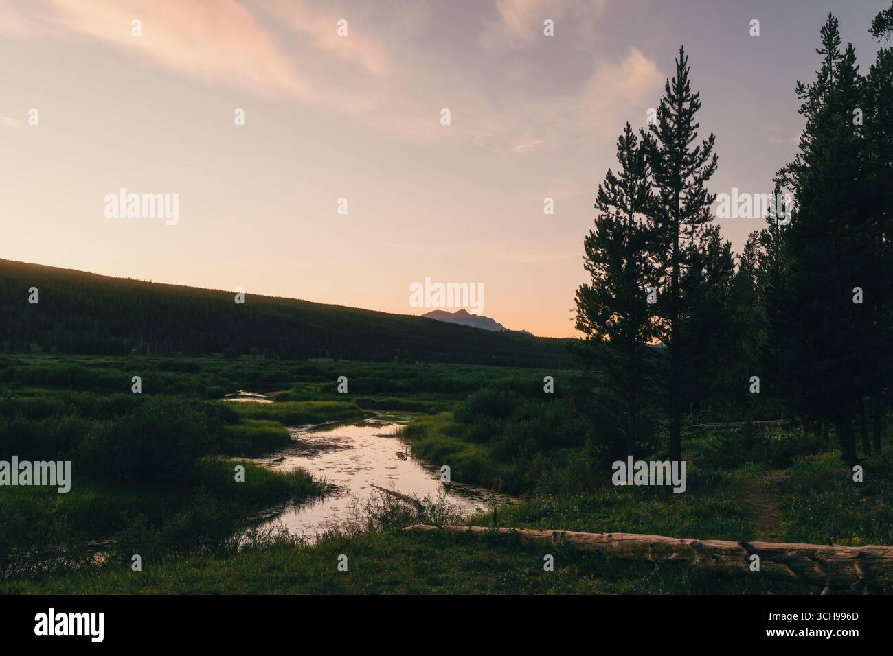 Golden sunlight reflects across hi-res stock photography and images - Alamy