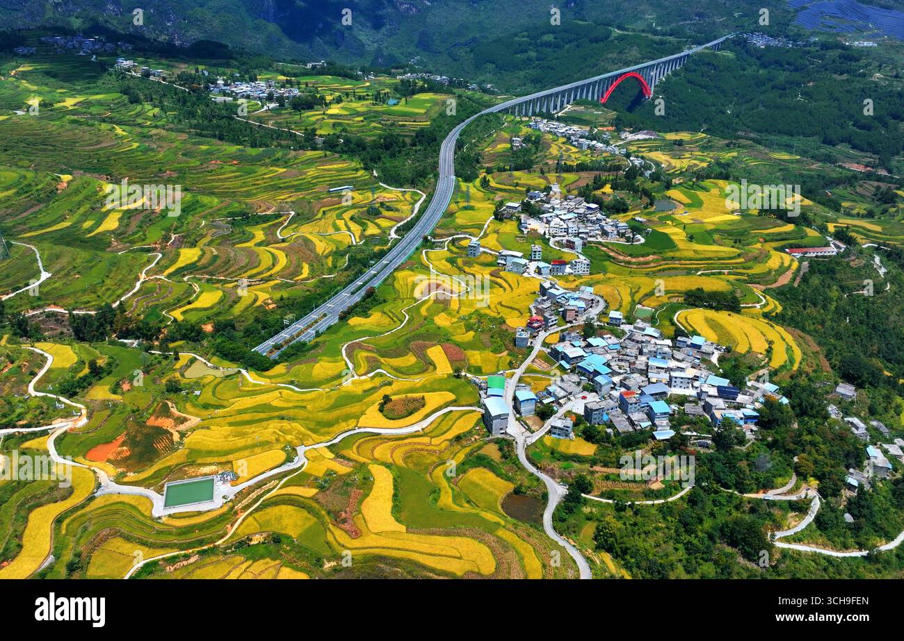Aerial photo shows the autumn scenery of terraced fields in Qiannan ...