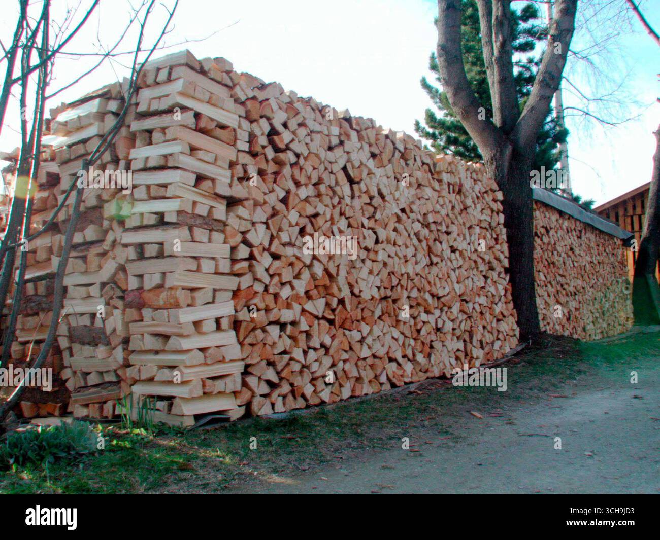 firewood as a renewable heating fuel and an energy source firewood as a ...