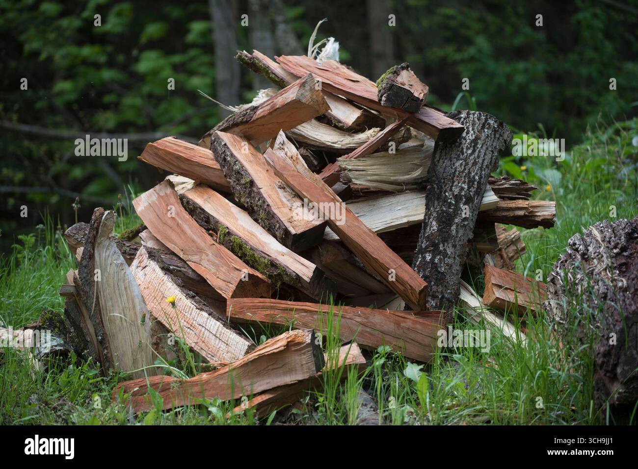 firewood as a renewable heating fuel and an energy source firewood as a ...