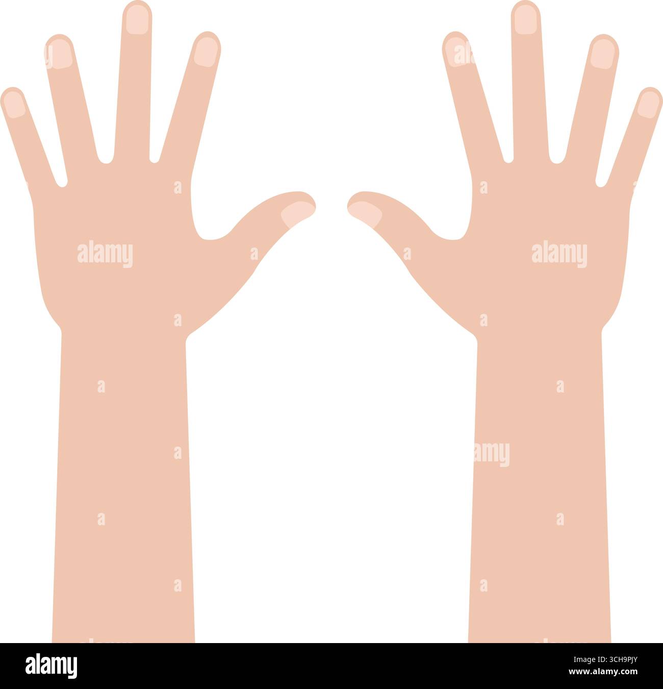 Hand. Back Hand. Vector Illustration Isolated on White Background Stock ...