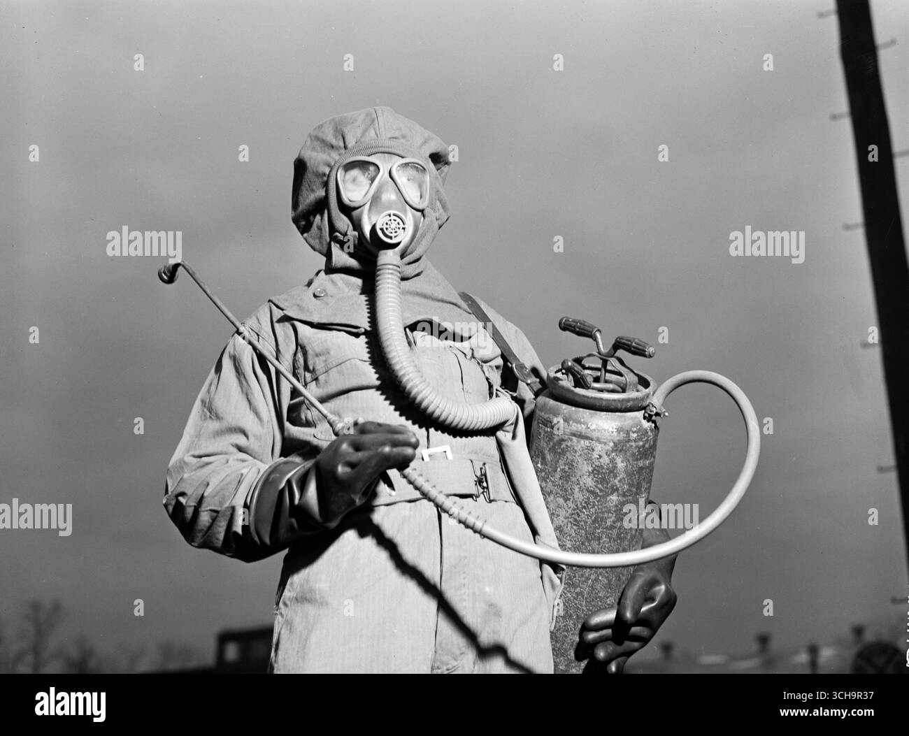 Constantine P. Lihas, a twenty-one year old Greek-American soldier ...