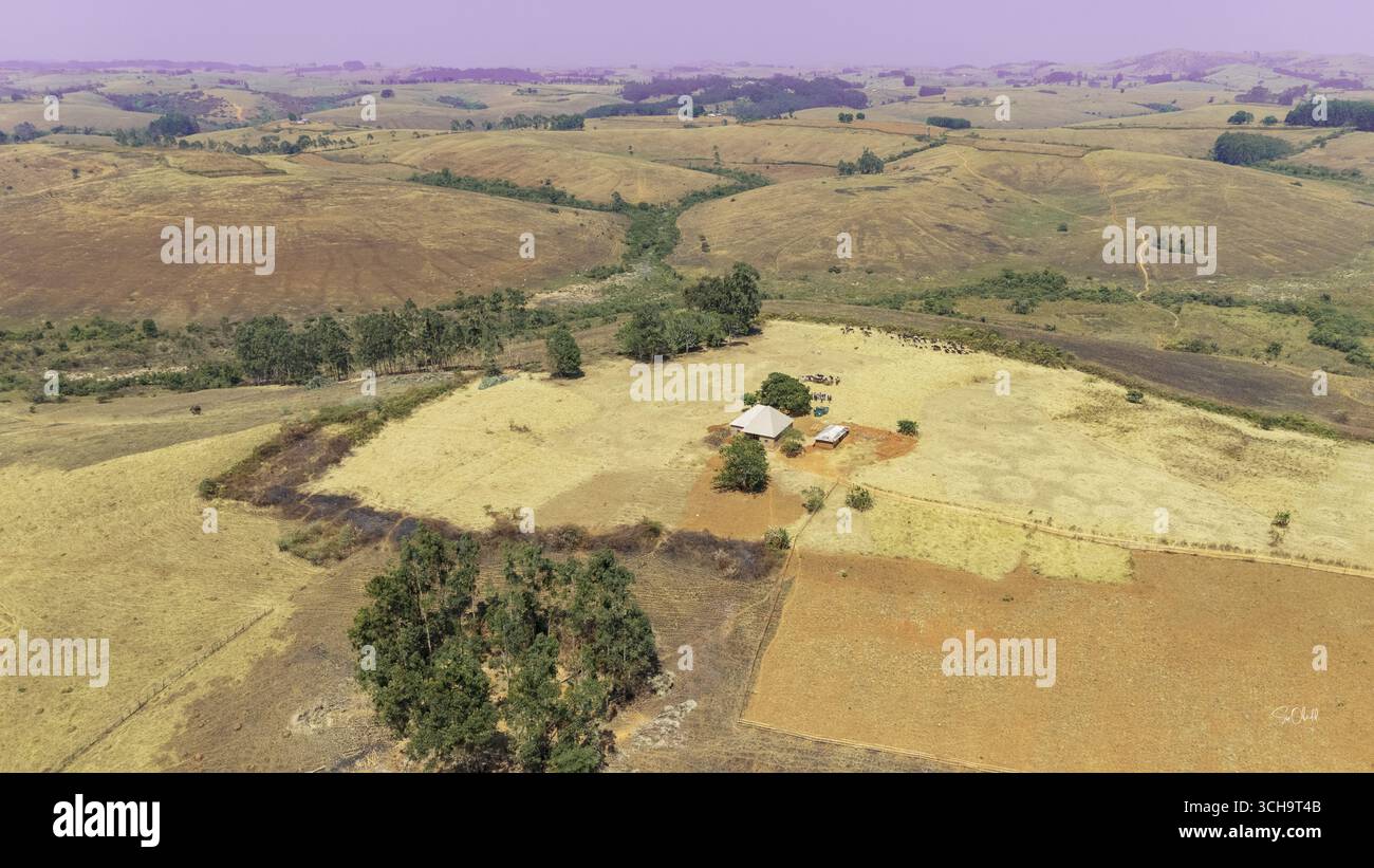 Aerial view of the landscape with browns and yellows contrasting with ...