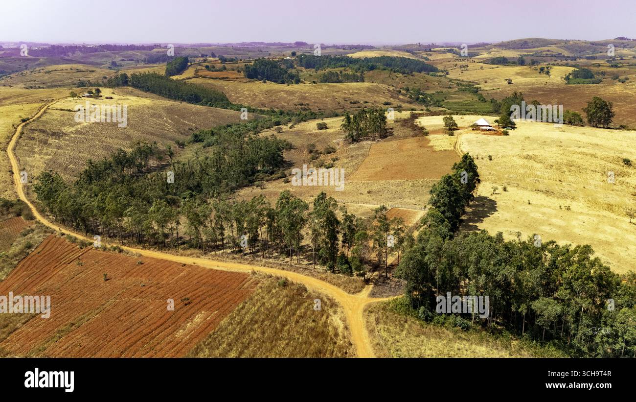 Aerial view of a landscape where earthy reds meet golden grasslands ...