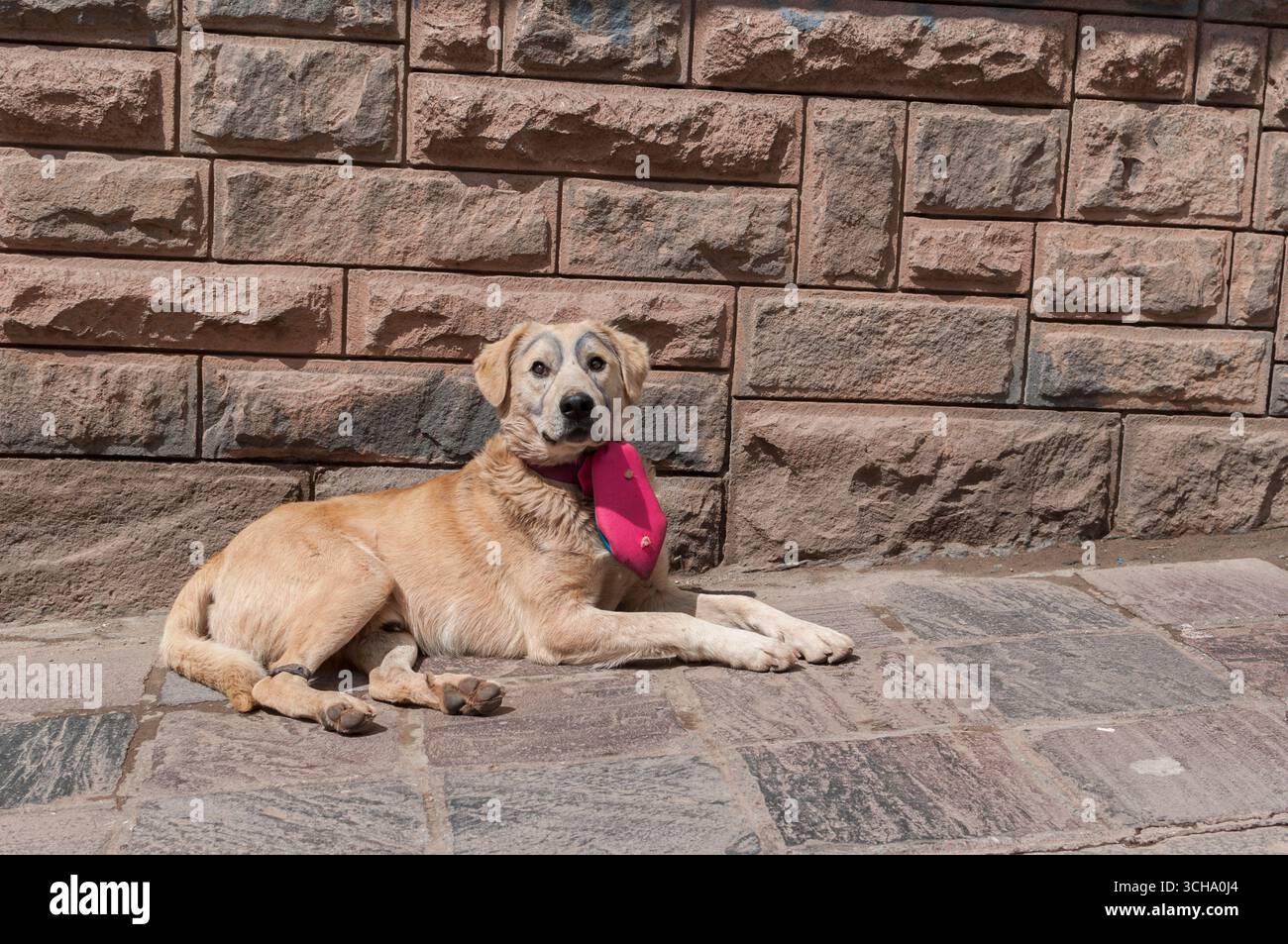 Tradicion en cusco hi-res stock photography and images - Alamy