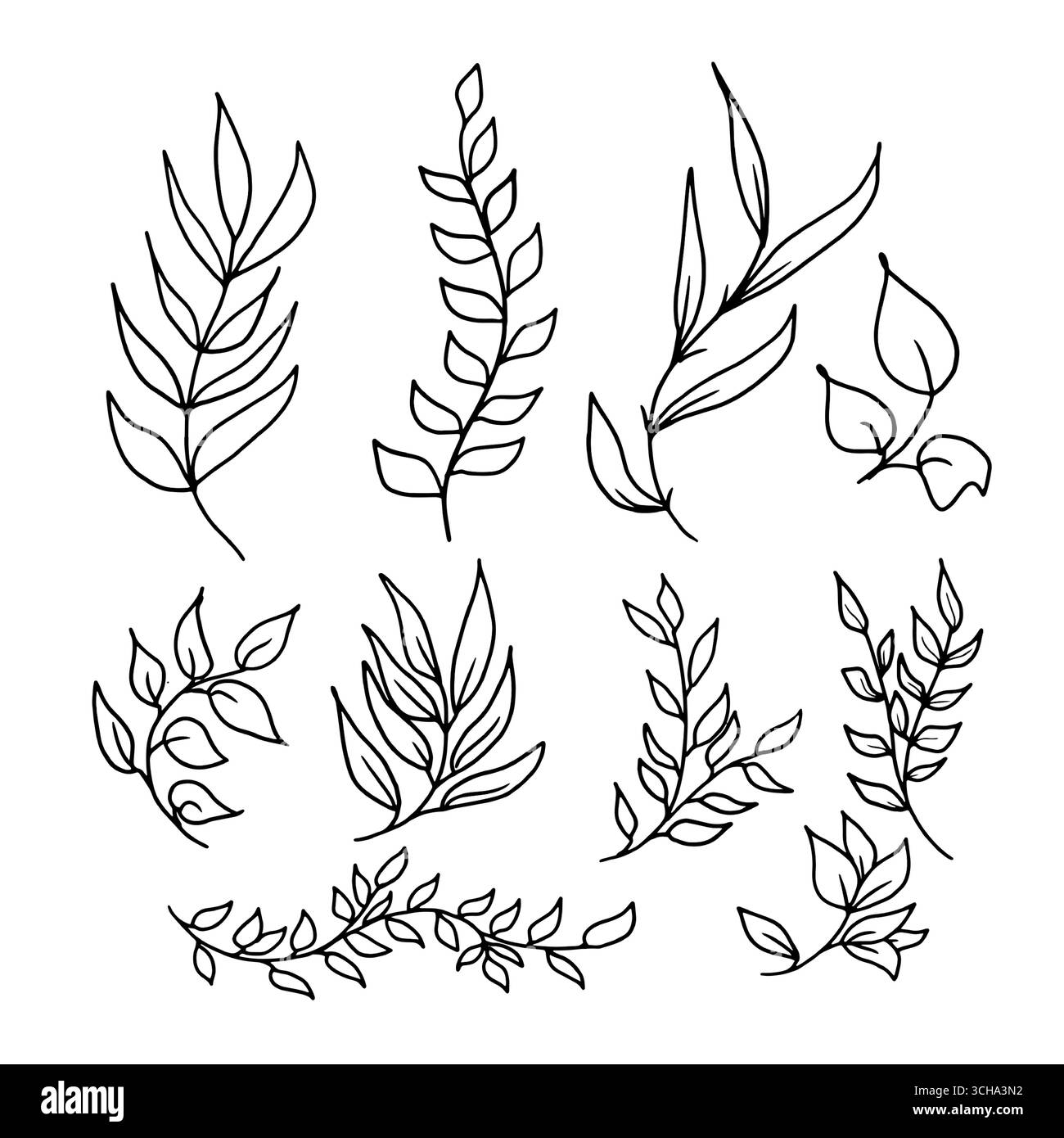 Graceful twigs black and white sketch. Vector illustration. Floral ...