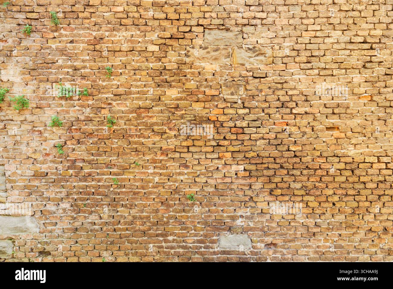 Weathered brick wall with visible mortar lines, rough texture, and ...