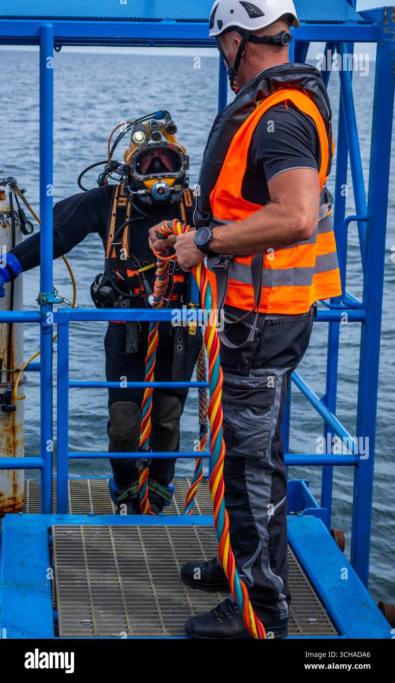 01 September 2025, Mecklenburg-Western Pomerania, Boltenhagen: Diver ...