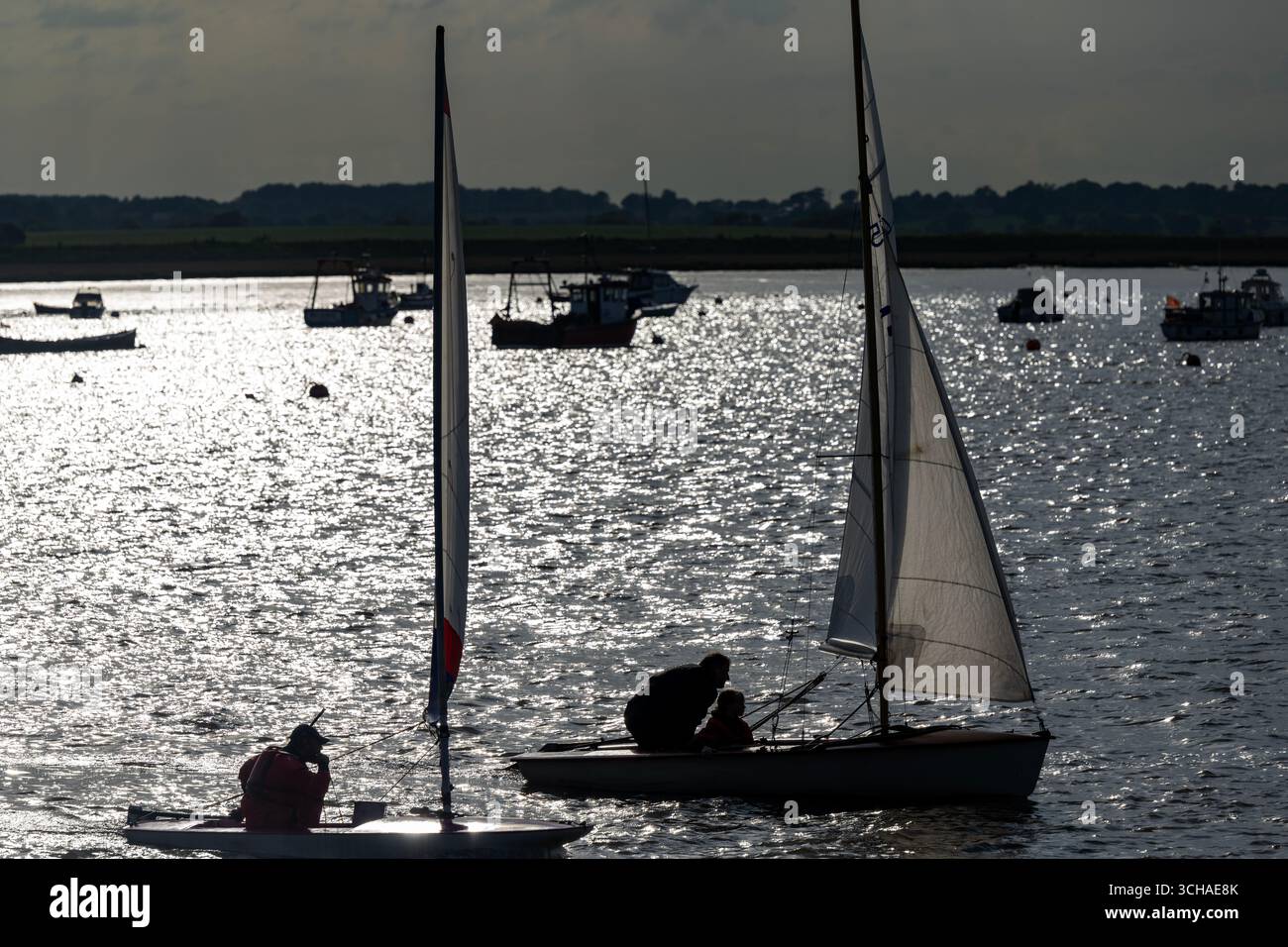 Sailing river Deben Bawdsey Ferry Suffolk Stock Photo - Alamy