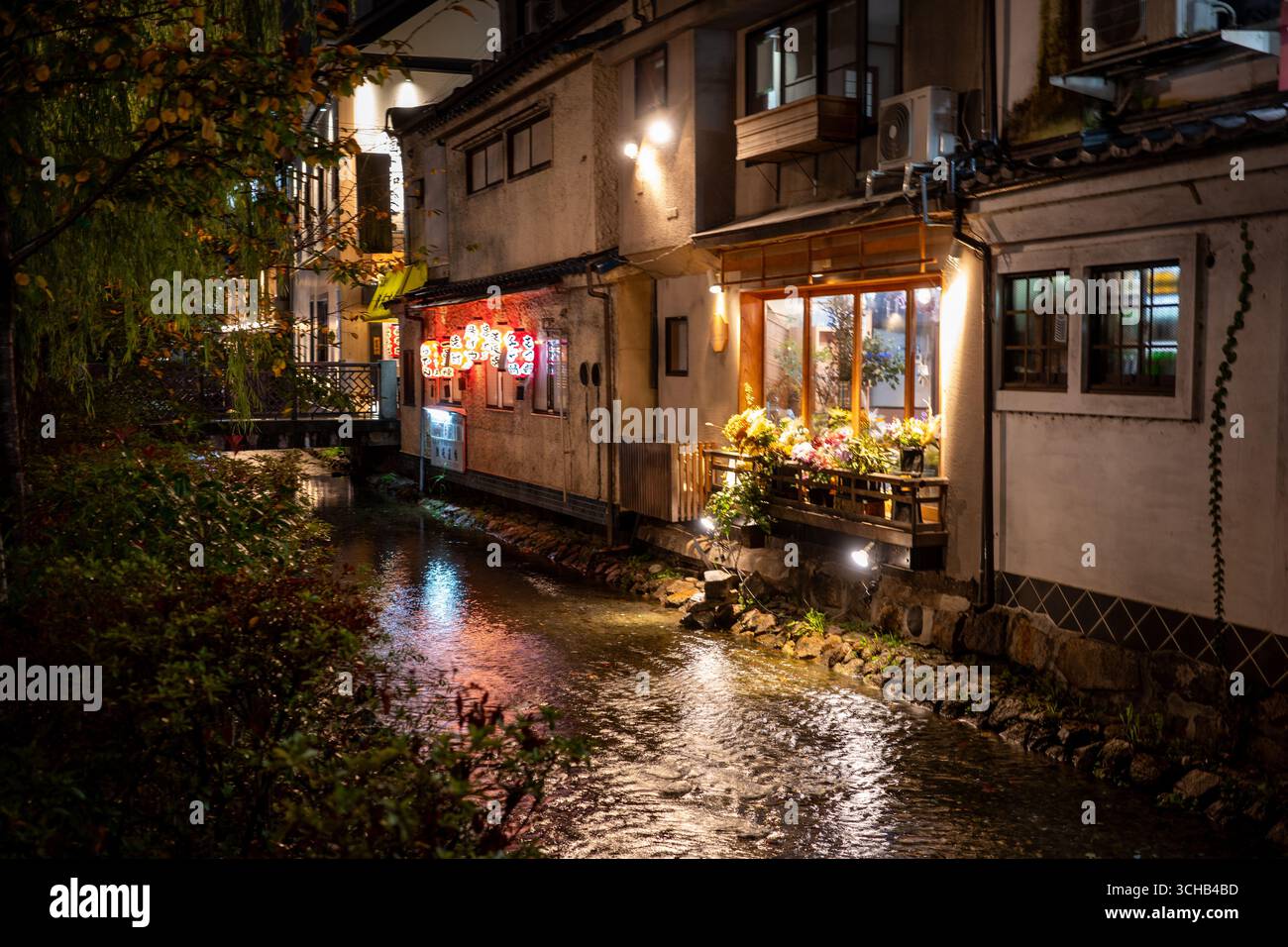 Night view of traditional riverside houses with glowing neon signs ...